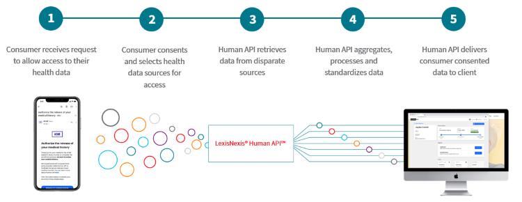 Human API™