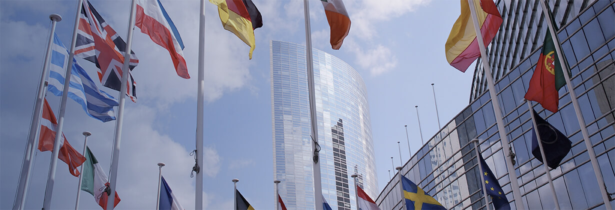 Sanctions Pulse Infographic | LexisNexis Risk Solutions